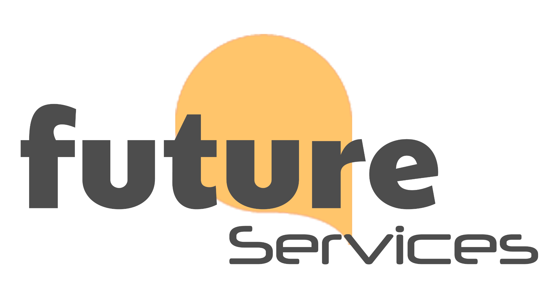Future Services - Partner for Rope Access, inspection and coating